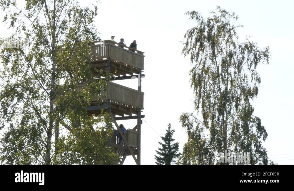 Wooden lookout tower Stock Videos & Footage - HD and 4K Video Clips - Alamy