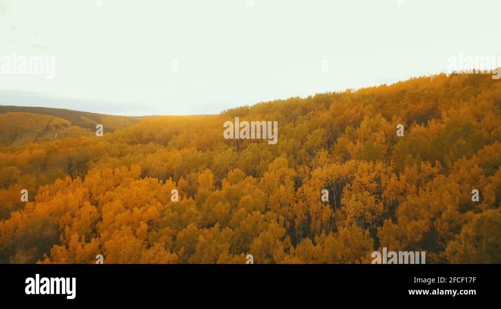 The northern edge of the tundra Stock Videos & Footage - HD and 4K ...