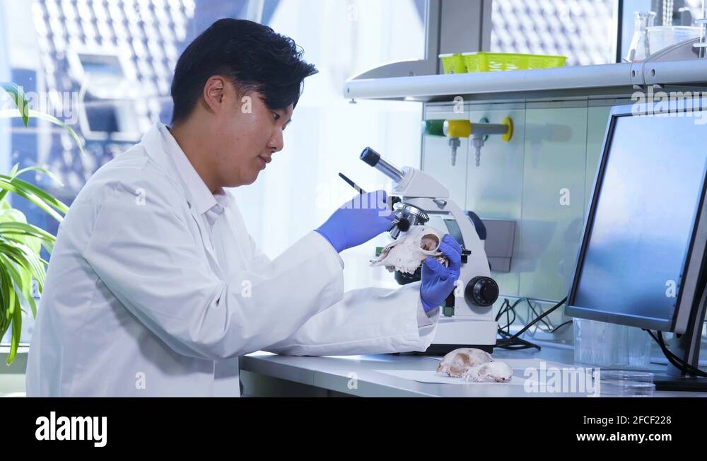 Research archaeologist Stock Videos & Footage - HD and 4K Video Clips ...