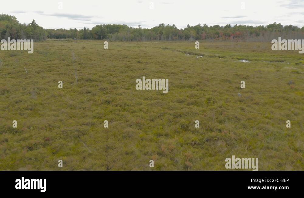 Road sweeping truck Stock Videos & Footage - HD and 4K Video Clips - Alamy