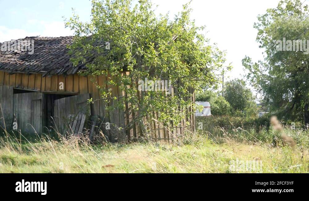 Farm decay Stock Videos & Footage - HD and 4K Video Clips - Alamy