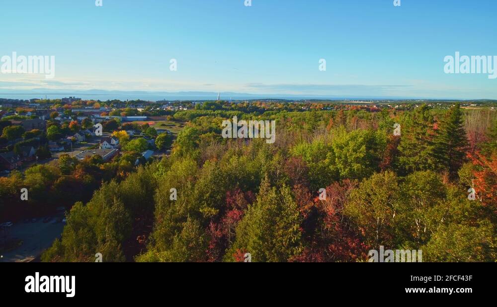 Temperate forest aerial Stock Videos & Footage - HD and 4K Video Clips ...