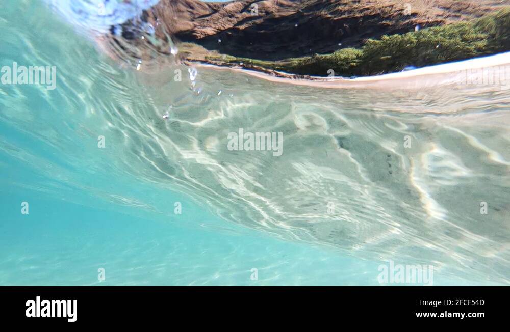 Wavefromunderneath Stock Videos & Footage - HD and 4K Video Clips - Alamy