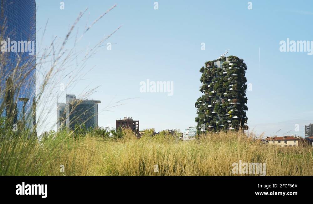 Biblioteca degli alberi park Stock Videos & Footage - HD and 4K Video ...