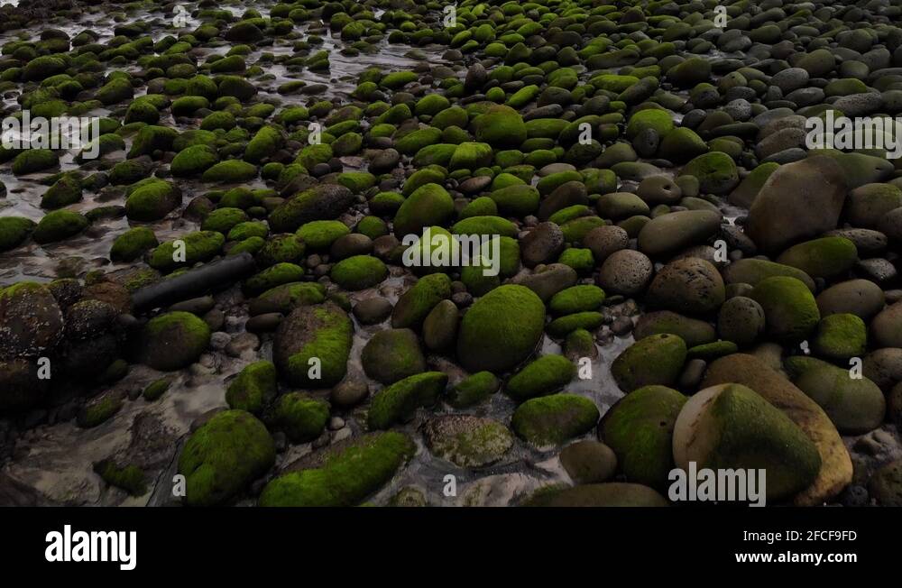 Iceland rocky beach Stock Videos & Footage - HD and 4K Video Clips - Alamy