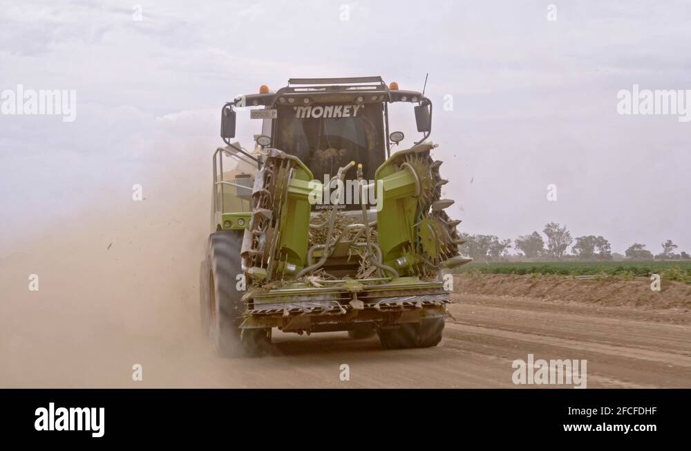 Crop chopper Stock Videos & Footage - HD and 4K Video Clips - Alamy