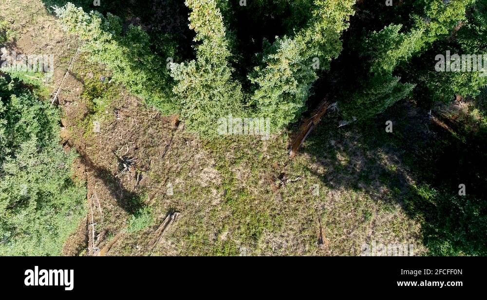 Soil decay Stock Videos & Footage - HD and 4K Video Clips - Alamy