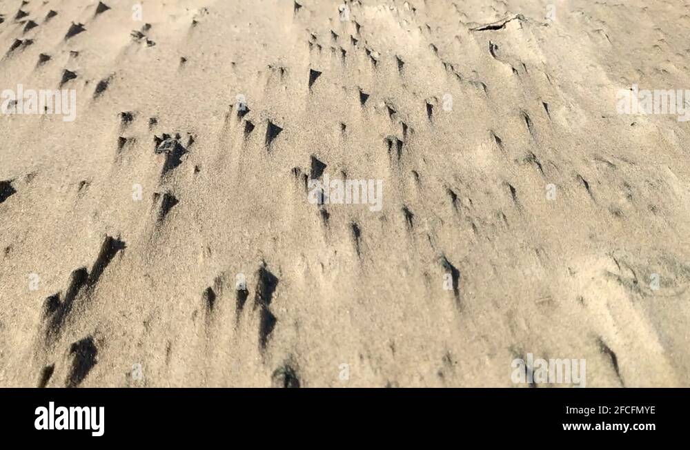 Beach sand small pebble bumps, close uping ground level shot Stock ...