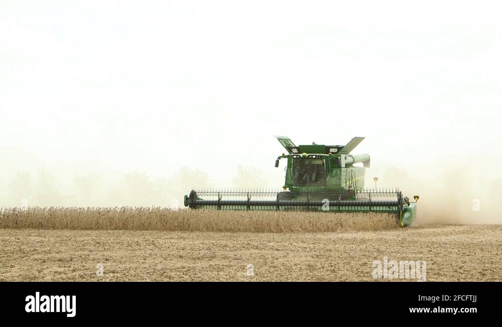 Dusty fields Stock Videos & Footage - HD and 4K Video Clips - Alamy