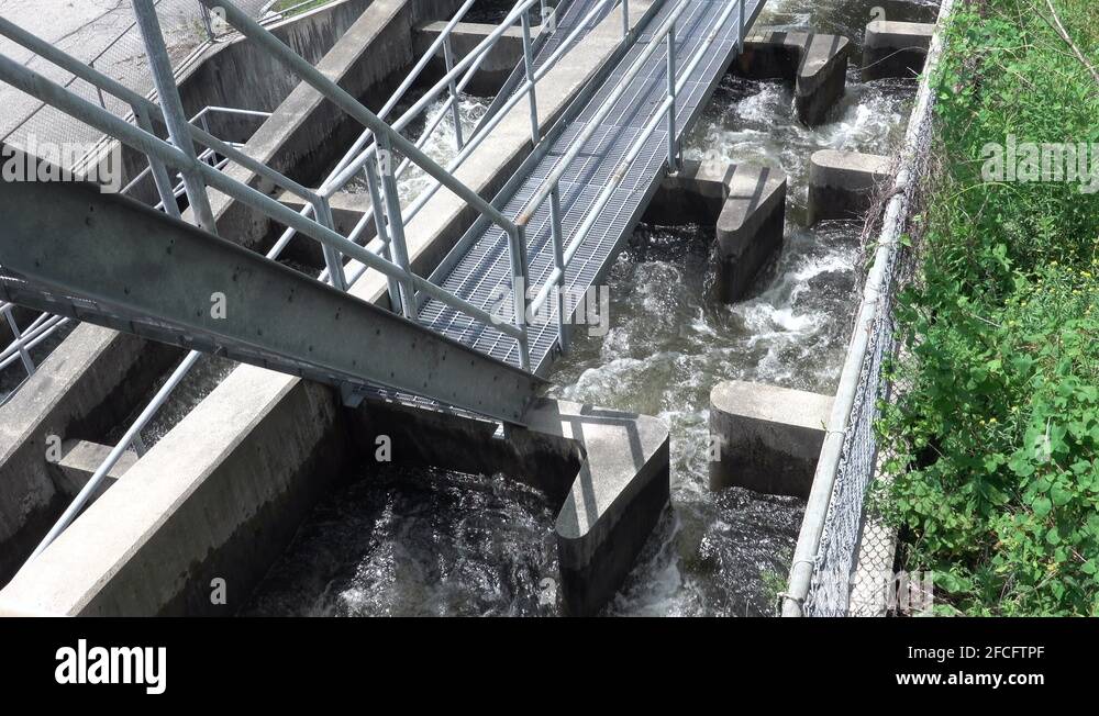 Fish dam Stock Videos & Footage - HD and 4K Video Clips - Alamy
