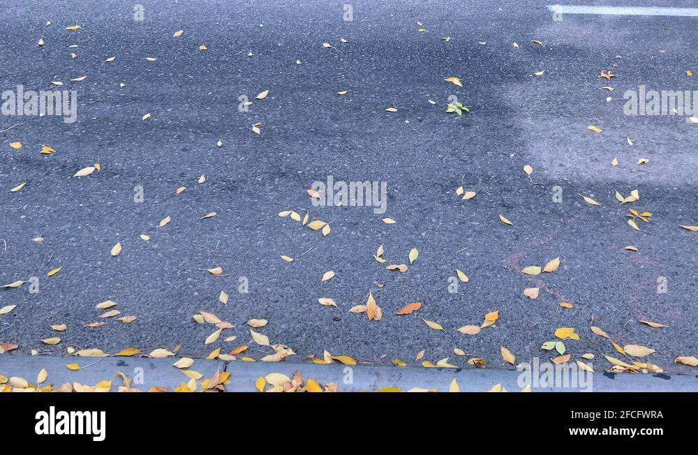 Asfalt street Stock Videos & Footage - HD and 4K Video Clips - Alamy