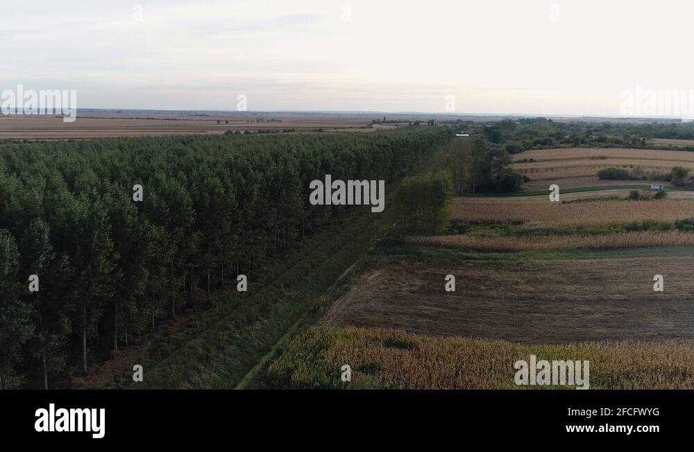 Fly over forest Stock Videos & Footage - HD and 4K Video Clips - Alamy