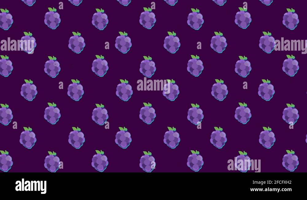 Grapevine drawing Stock Videos & Footage - HD and 4K Video Clips - Alamy