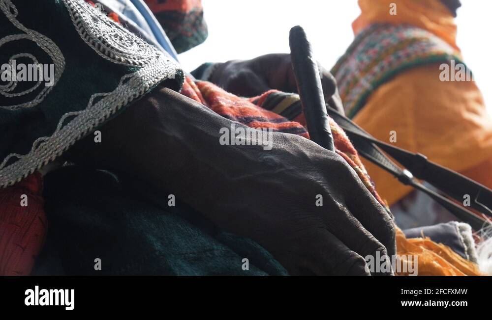 Holding whip man Stock Videos & Footage - HD and 4K Video Clips - Alamy