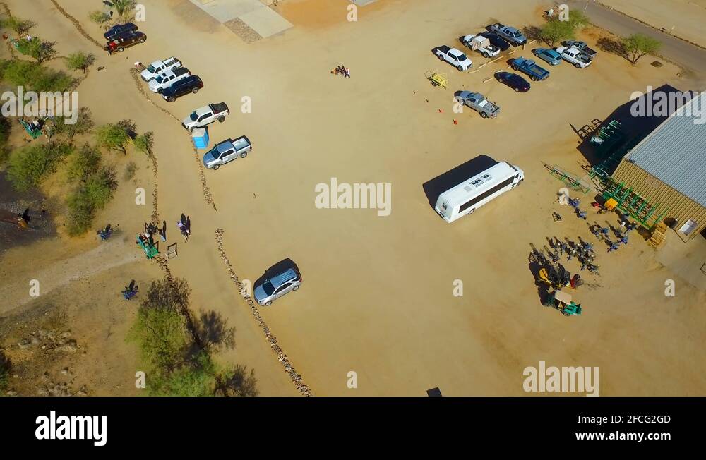 The parking spot bus Stock Videos & Footage - HD and 4K Video Clips - Alamy