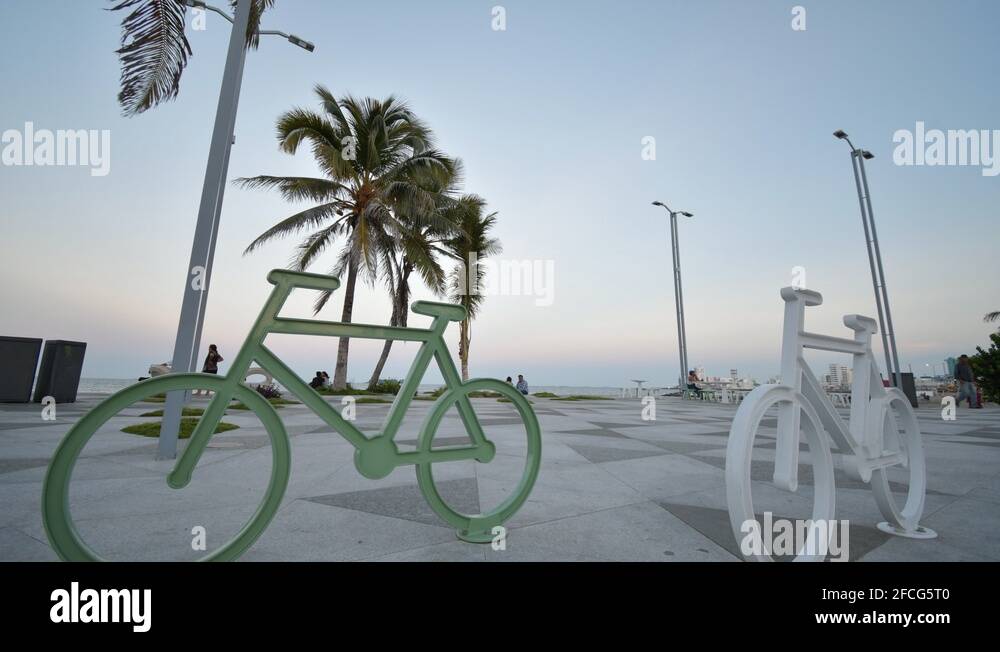 Random park Stock Videos & Footage - HD and 4K Video Clips - Alamy