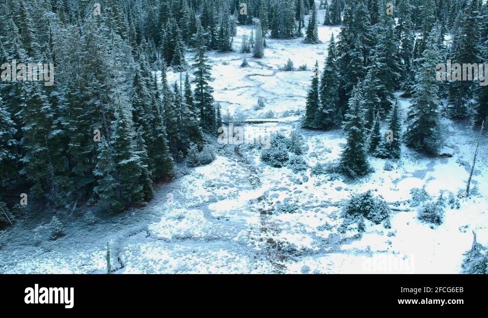 Frozen swamp Stock Videos & Footage - HD and 4K Video Clips - Alamy