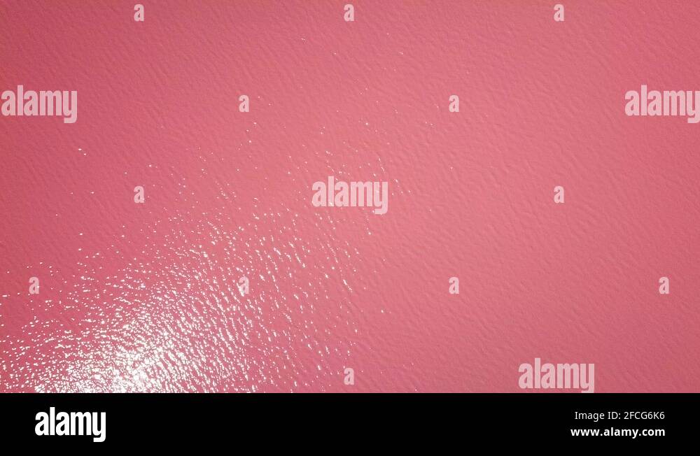 Pink algae Stock Videos & Footage - HD and 4K Video Clips - Alamy