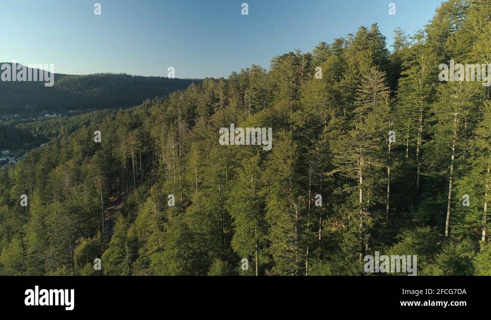 Area underneath Stock Videos & Footage - HD and 4K Video Clips - Alamy