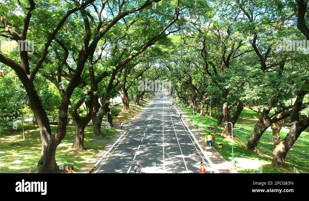 University of the philippines diliman Stock Videos & Footage - HD and ...