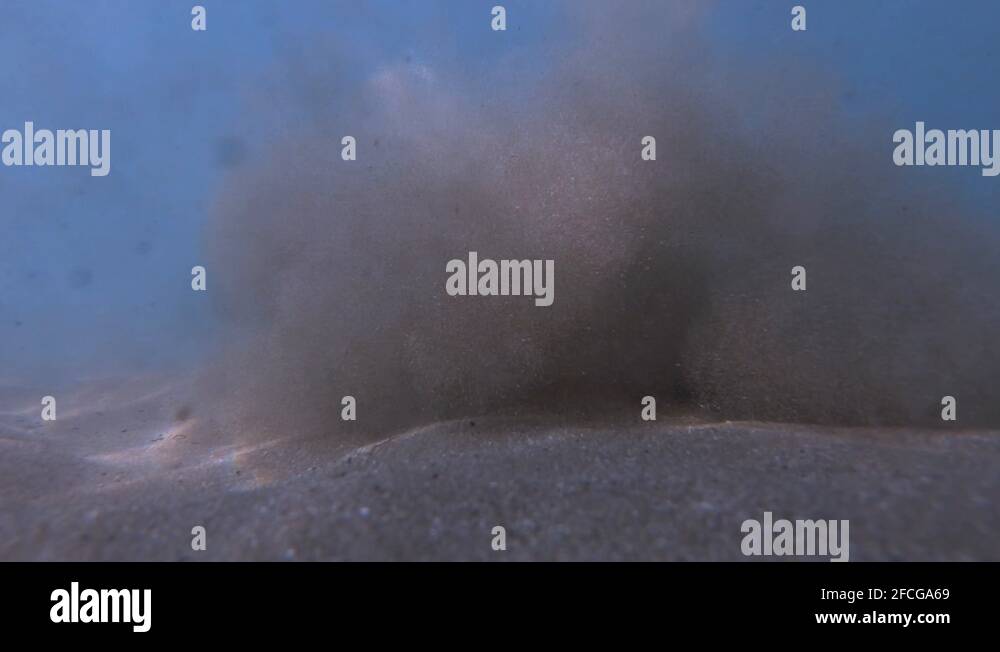 Underwater storm Stock Videos & Footage - HD and 4K Video Clips - Alamy