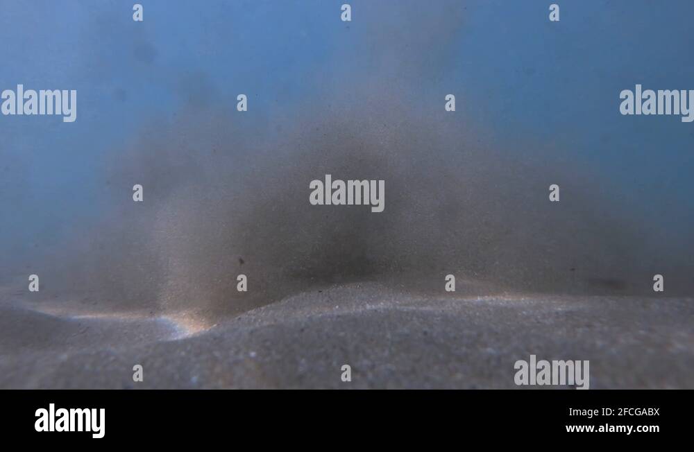 Deposit of sediment in water Stock Videos & Footage - HD and 4K Video ...