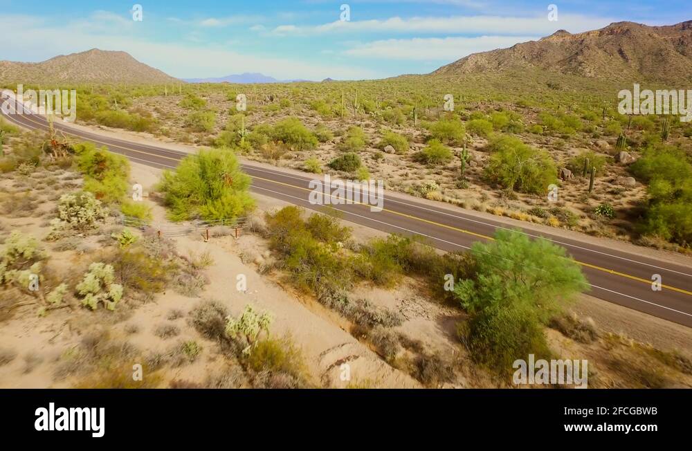 Smooth cactus Stock Videos & Footage - HD and 4K Video Clips - Alamy