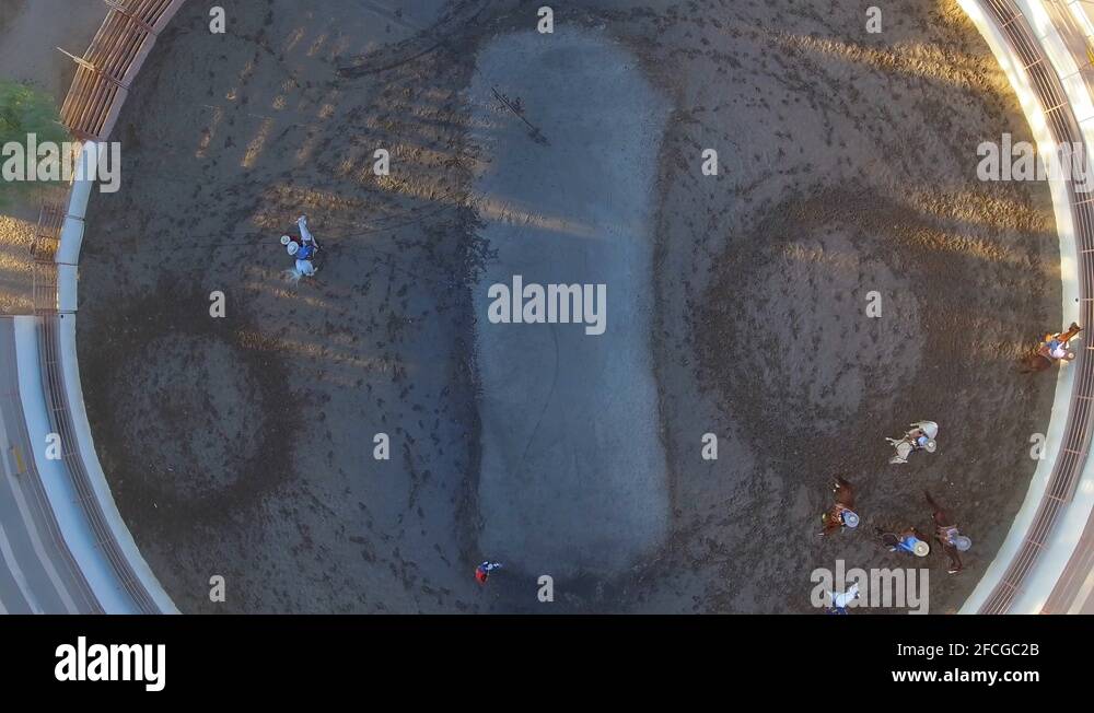 Running grounds Stock Videos & Footage - HD and 4K Video Clips - Alamy