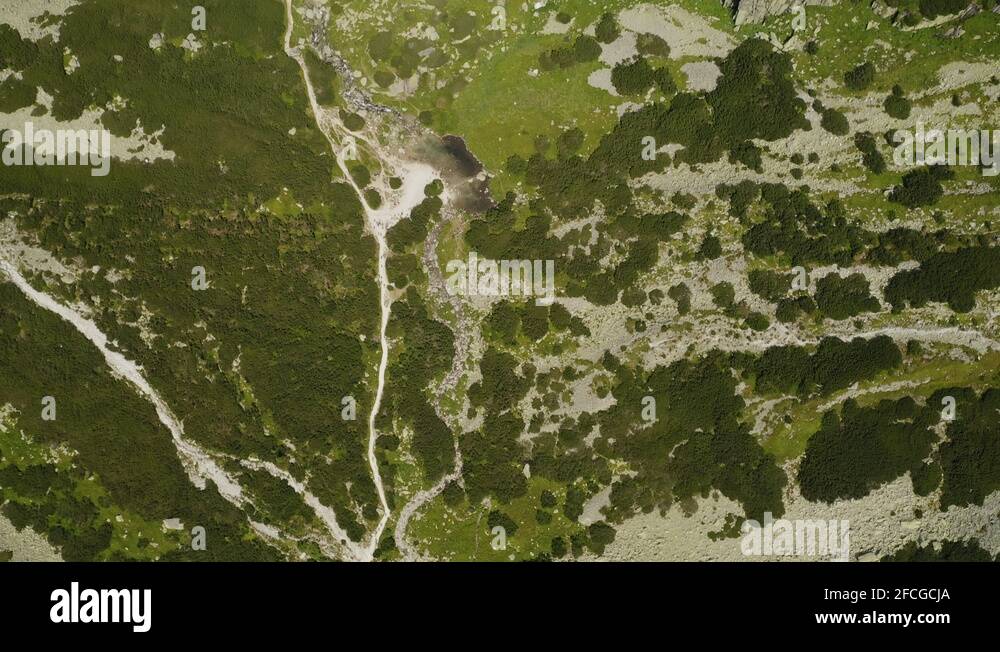 Green relief Stock Videos & Footage - HD and 4K Video Clips - Alamy