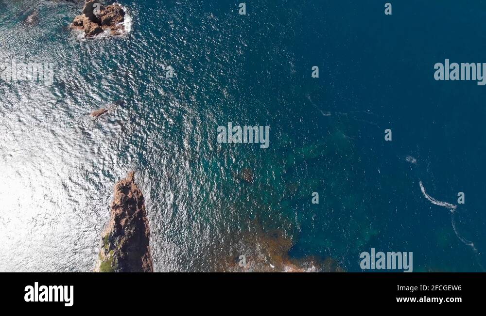 Poor knights island new zealand Stock Videos & Footage - HD and 4K ...