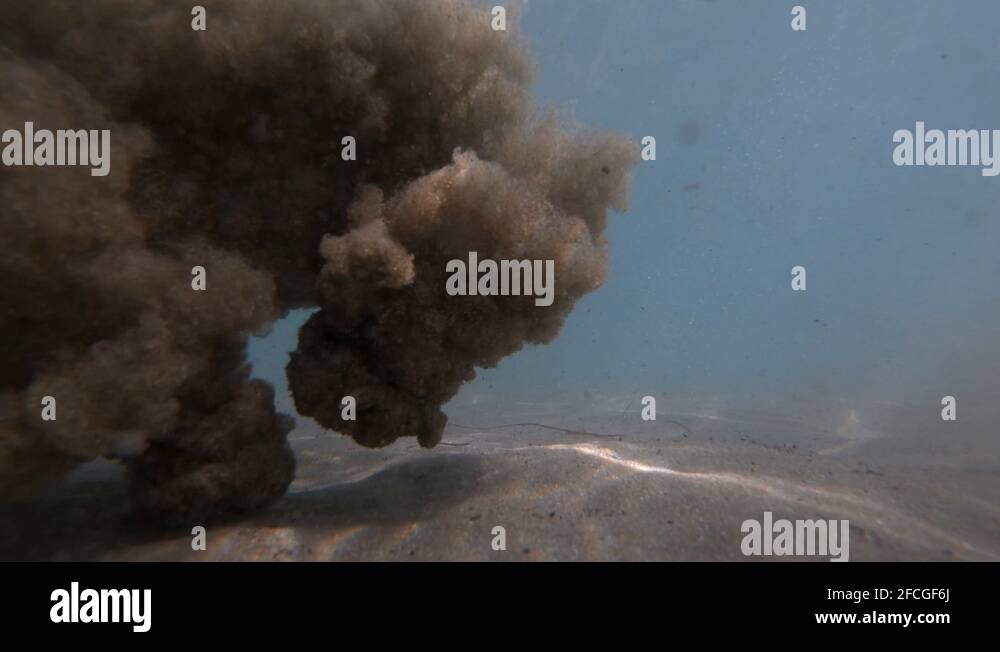 Underwater fine sand particles floating in ocean water Stock Video ...