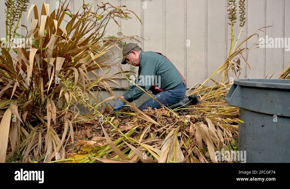 Environment yard Stock Videos & Footage - HD and 4K Video Clips - Alamy