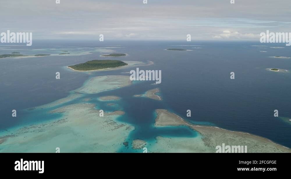 Reef system Stock Videos & Footage - HD and 4K Video Clips - Alamy