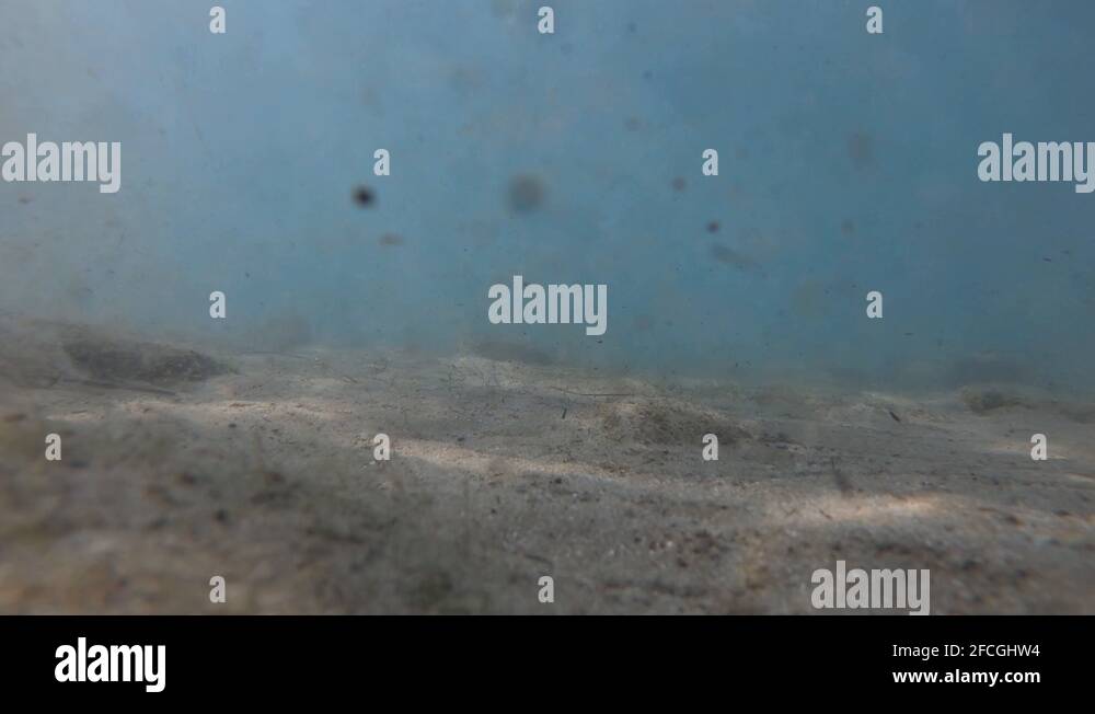 Underwater fine sand particles floating in ocean water Stock Video ...