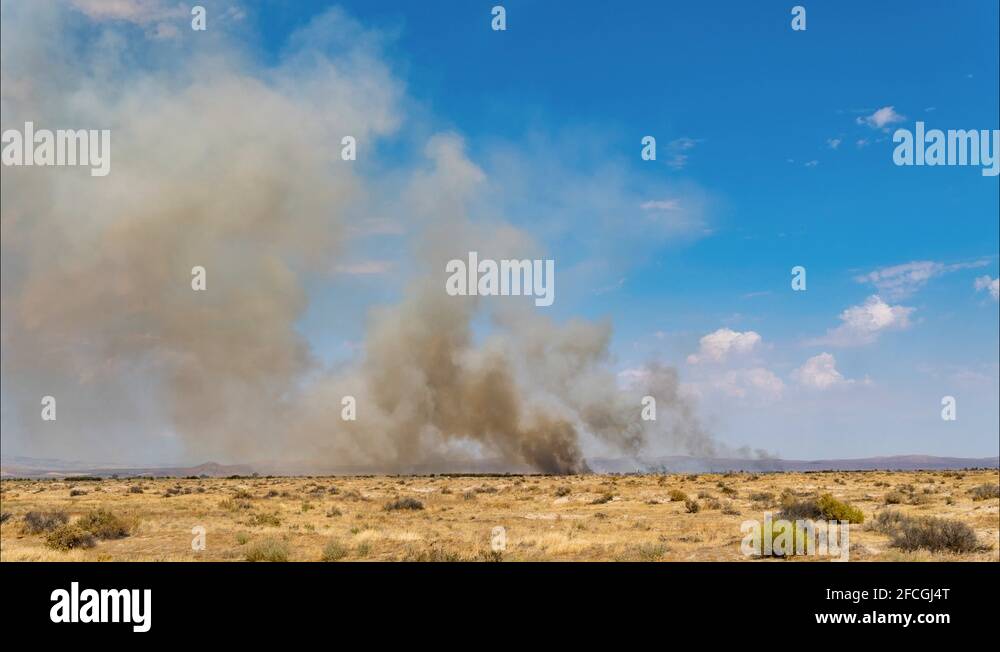 Burn in mojave desert Stock Videos & Footage - HD and 4K Video Clips ...