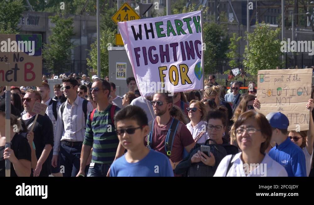 Holding picket sign Stock Videos & Footage - HD and 4K Video Clips - Alamy