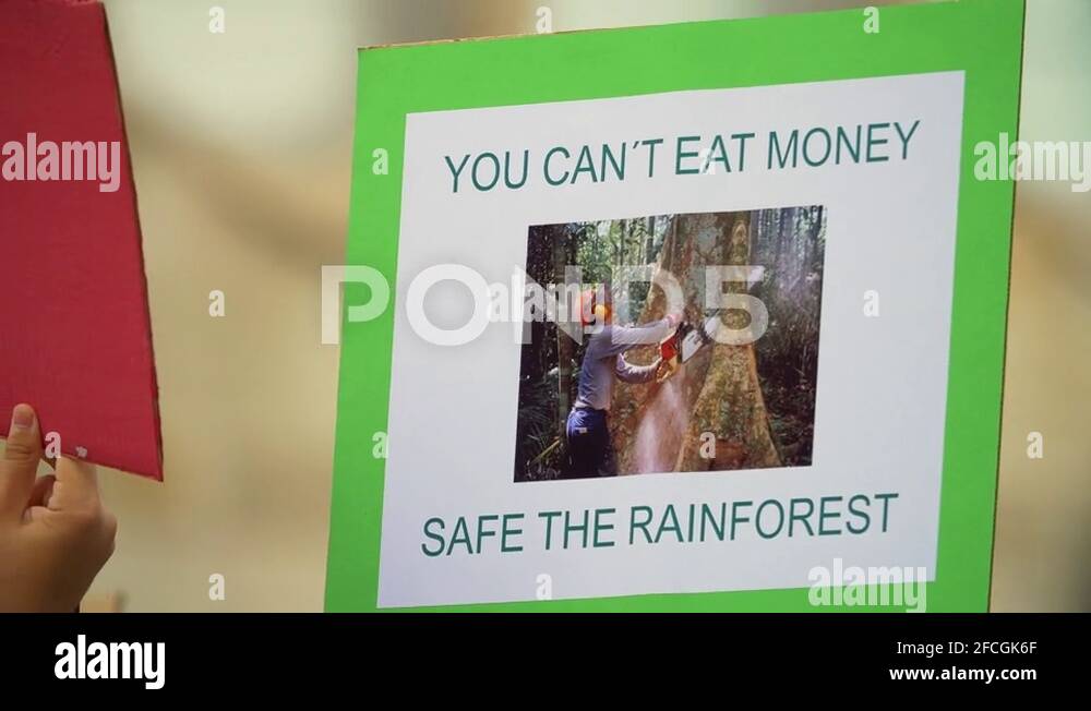 Climate money Stock Videos & Footage - HD and 4K Video Clips - Alamy