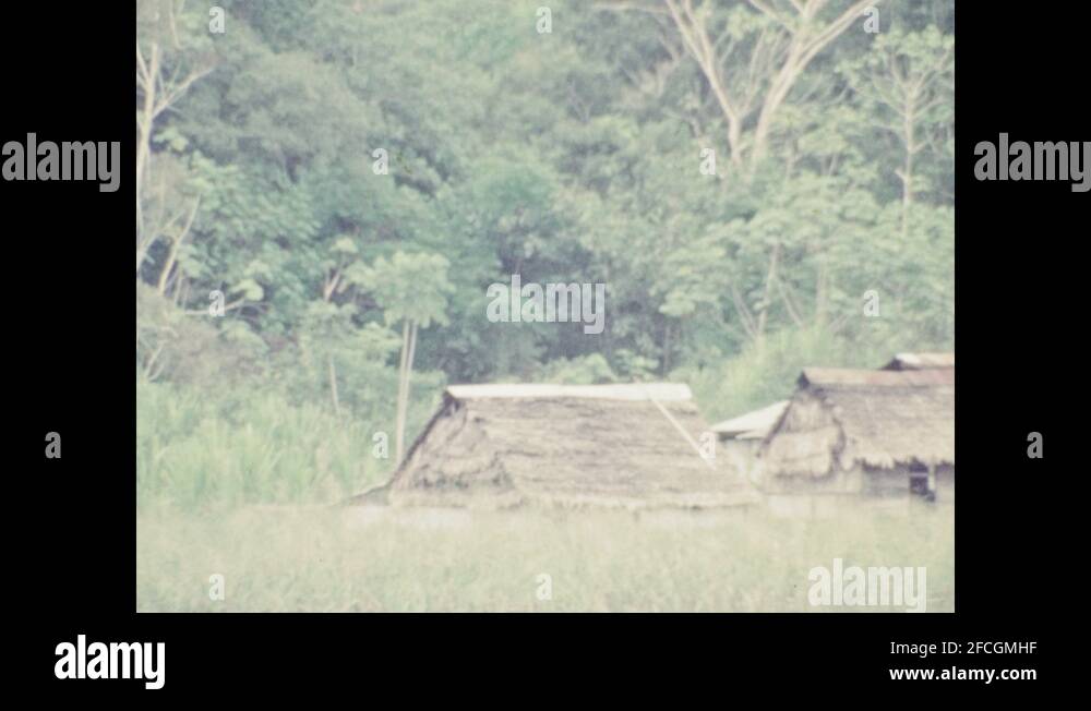 Amazon houses Stock Videos & Footage - HD and 4K Video Clips - Alamy