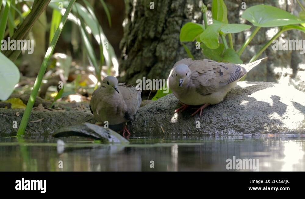Drinking water sign vector Stock Videos & Footage - HD and 4K Video ...
