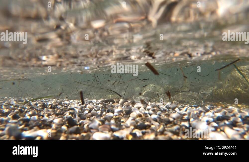 Low angle underwater view sea waves hitting pebble shore Stock Video ...