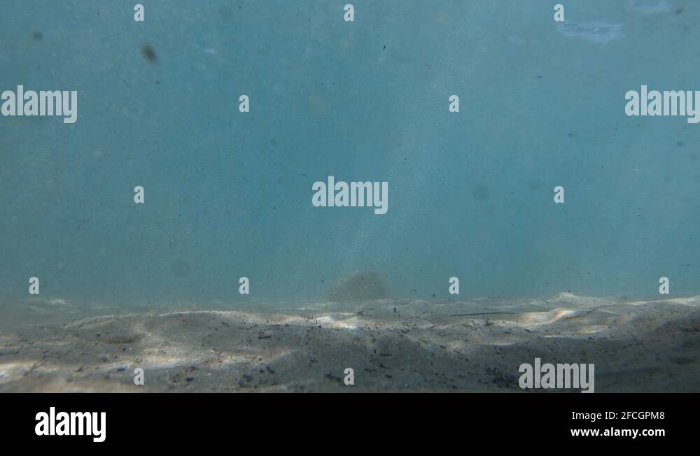 Underwater cloud of fine sand particles falling on ocean sea bed Stock ...