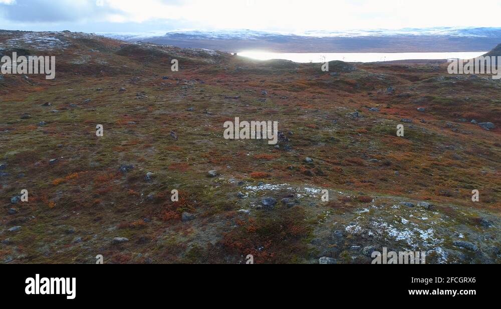 Rain in the arctic Stock Videos & Footage - HD and 4K Video Clips - Alamy