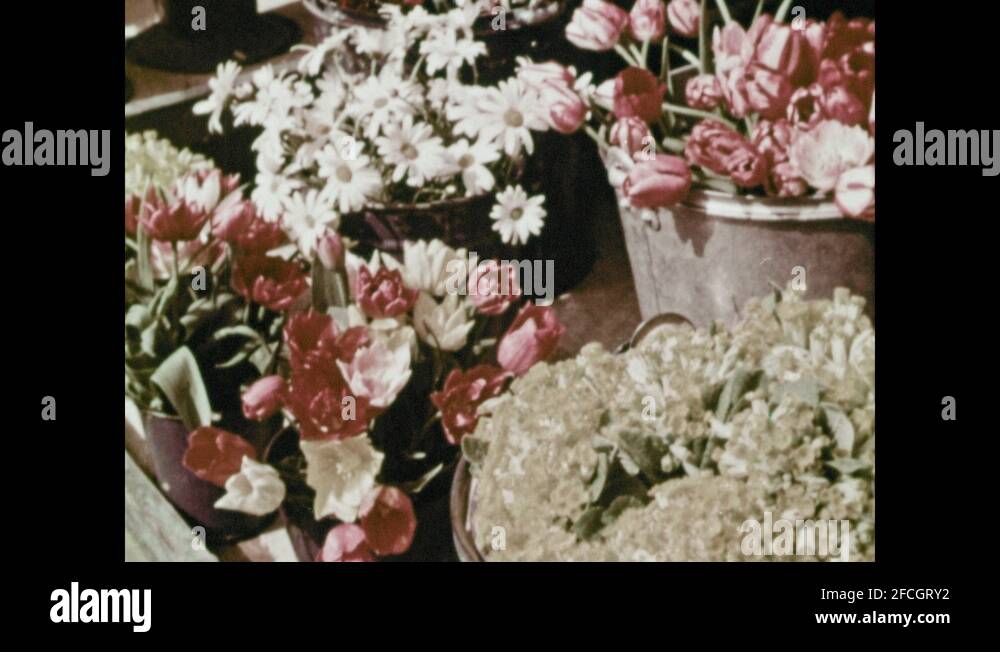 1950s: Flowers on display in buckets. People walk through park with ...