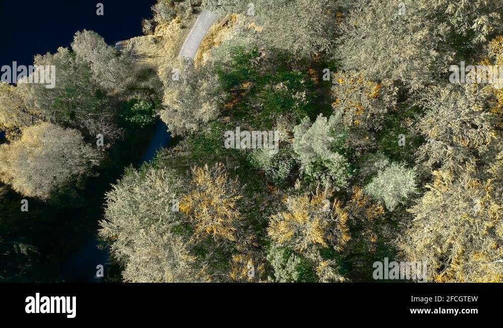 Natur Nature Stock Videos Footage HD And 4K Video Clips Alamy