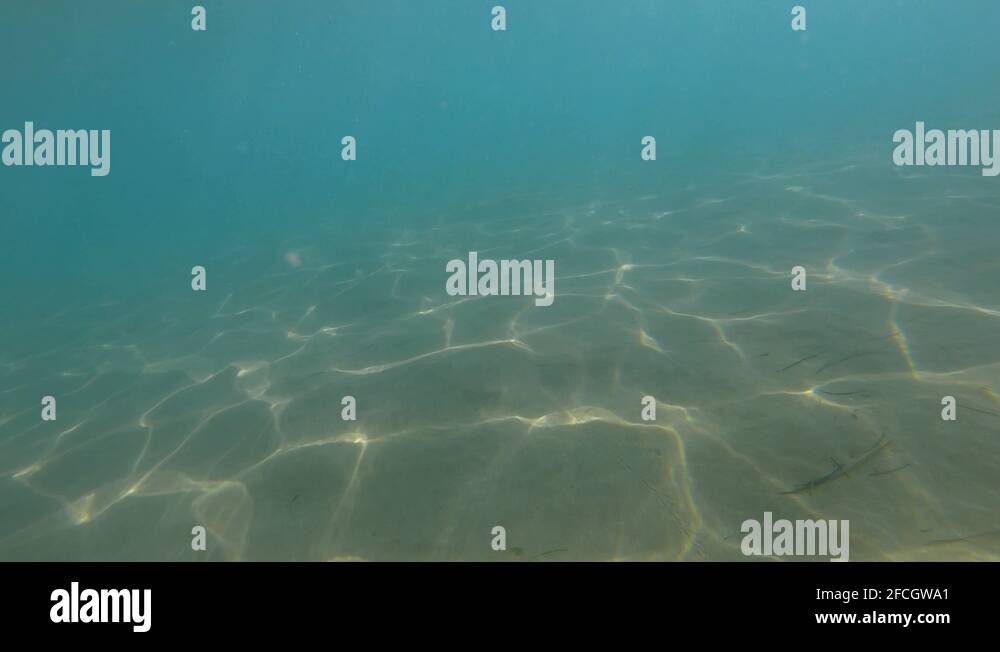 Underwater sand pattern Stock Videos & Footage - HD and 4K Video Clips ...