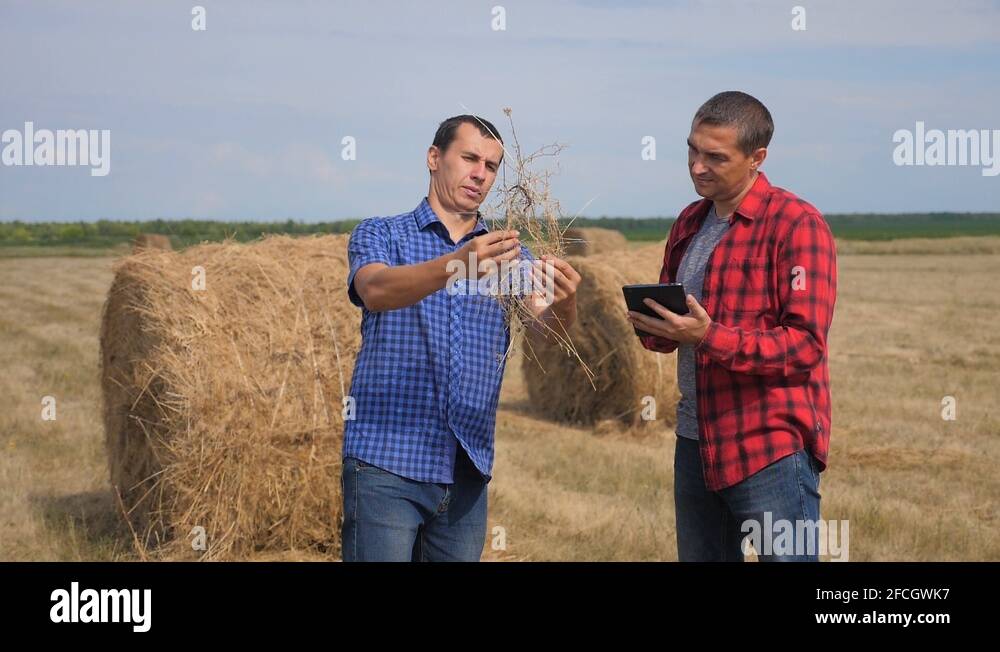 teamwork agriculture smart farming concept. two men lifestyle farmers ...