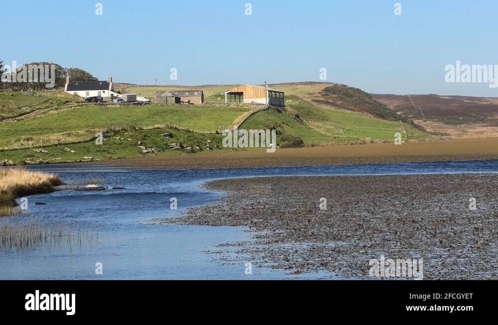 Caithness farm Stock Videos & Footage - HD and 4K Video Clips - Alamy