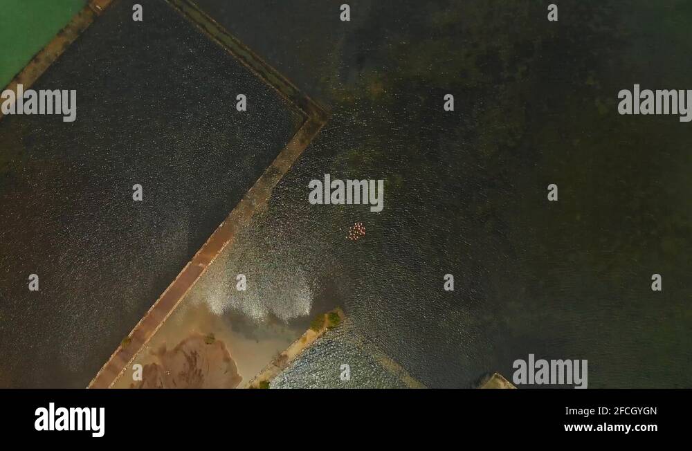 42 feet Stock Videos & Footage - HD and 4K Video Clips - Alamy