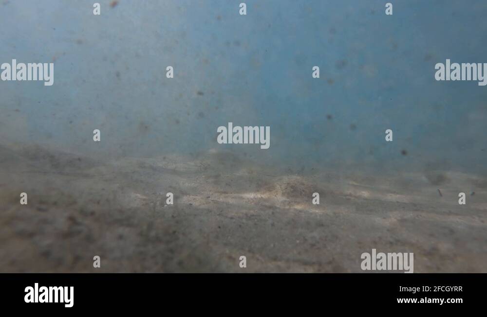 Slow motion underwater fine sand particles floating in ocean water ...