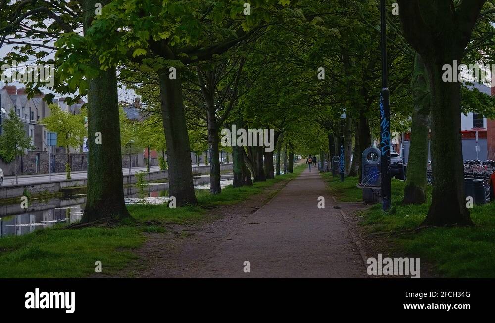 Green covered walkway Stock Videos & Footage - HD and 4K Video Clips ...